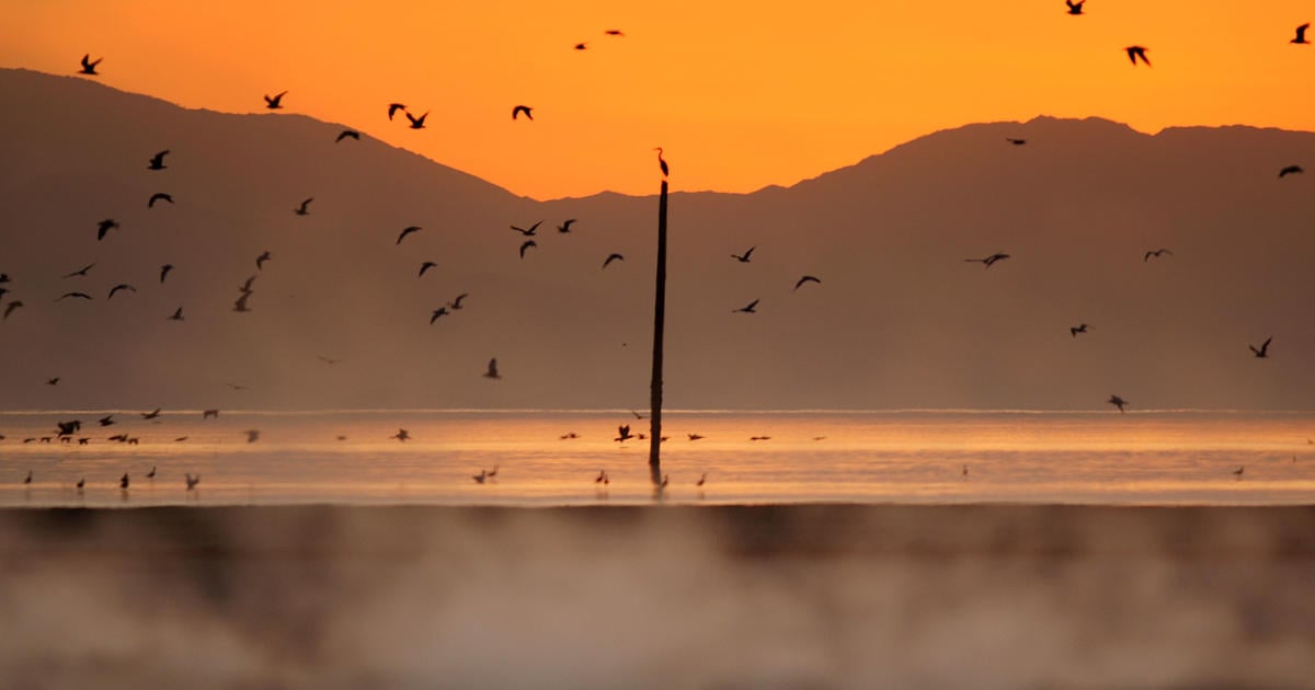 What is Ocean Thermal Energy? | Planète Énergies