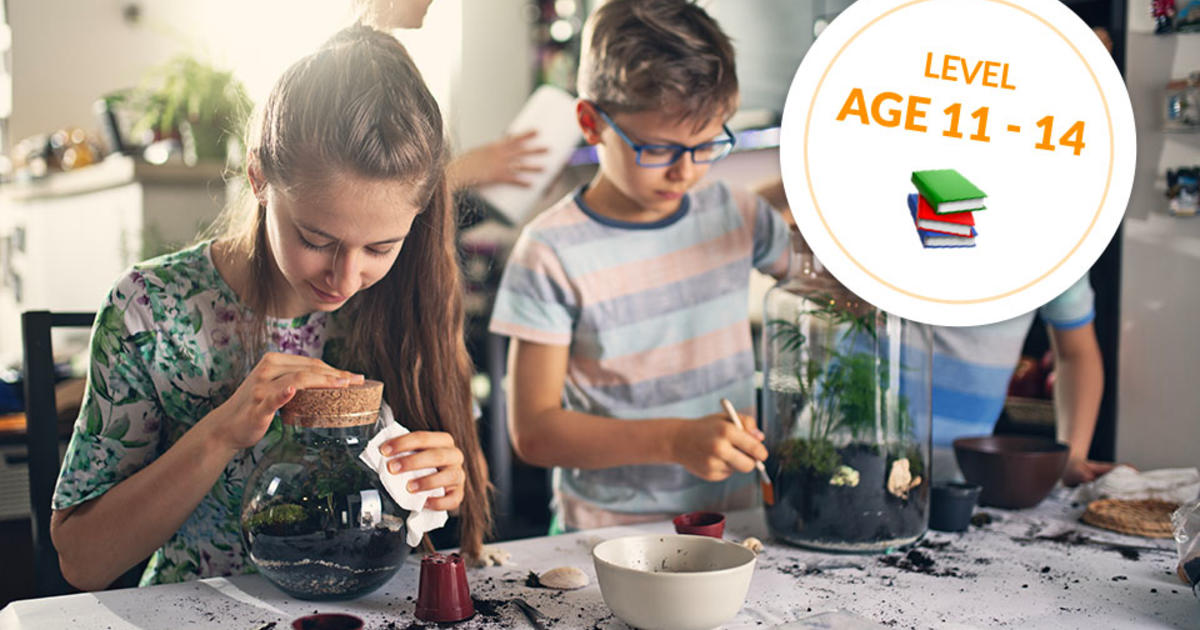 Focus on Responsible Consumption Learning pathway: Ages 11-14